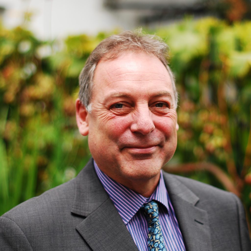 Our team | Scriptoria