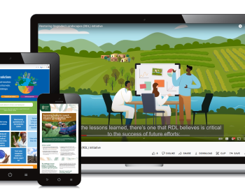 SCRIPTORIA - Sustainable Development Solutions